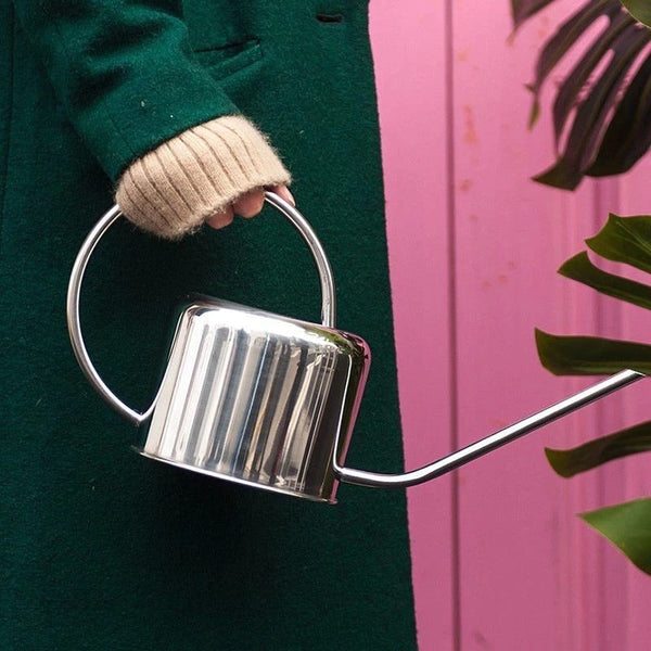 Arrosoir Design en Inox | L'Arroseur arrosé